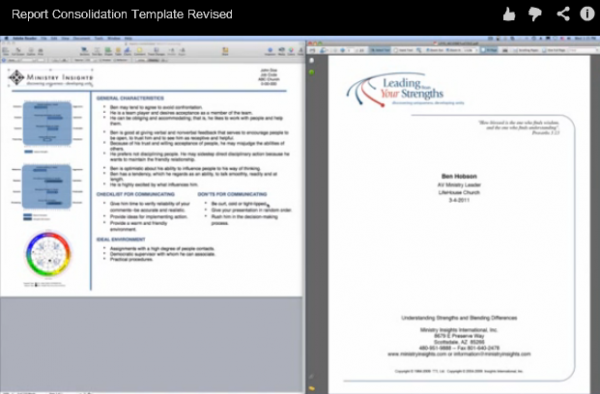 report-consolidation-template - Ministry Insights